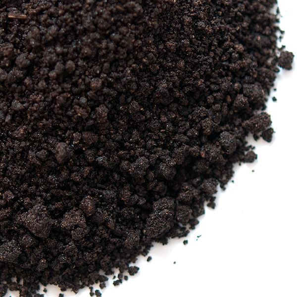 Ground Vanilla Powder | Tahitian Vanilla Beans in Bulk | Beanilla