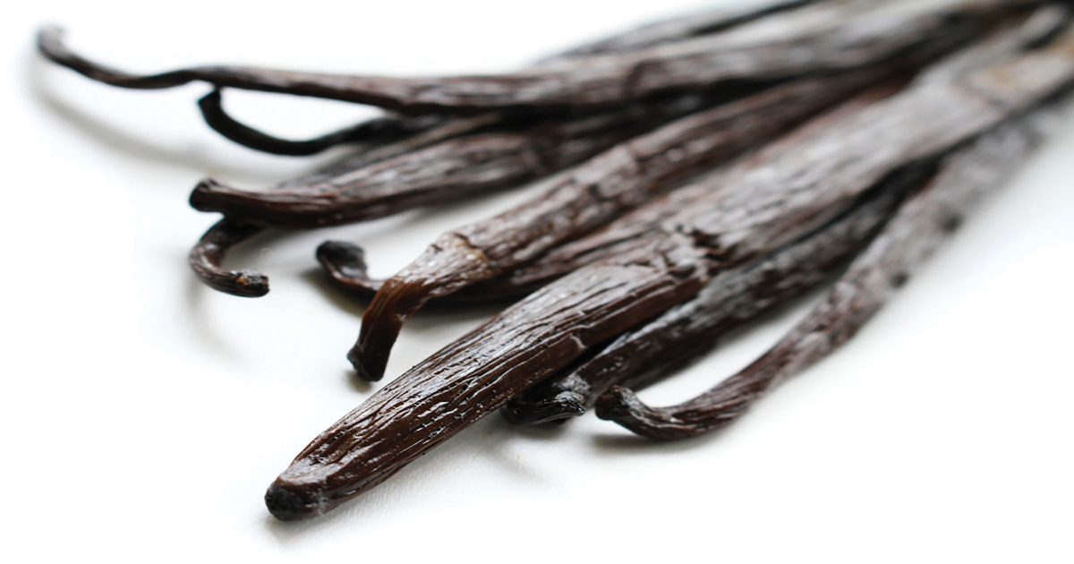 Buy Vanilla Beans Bulk Wholesale Beanilla